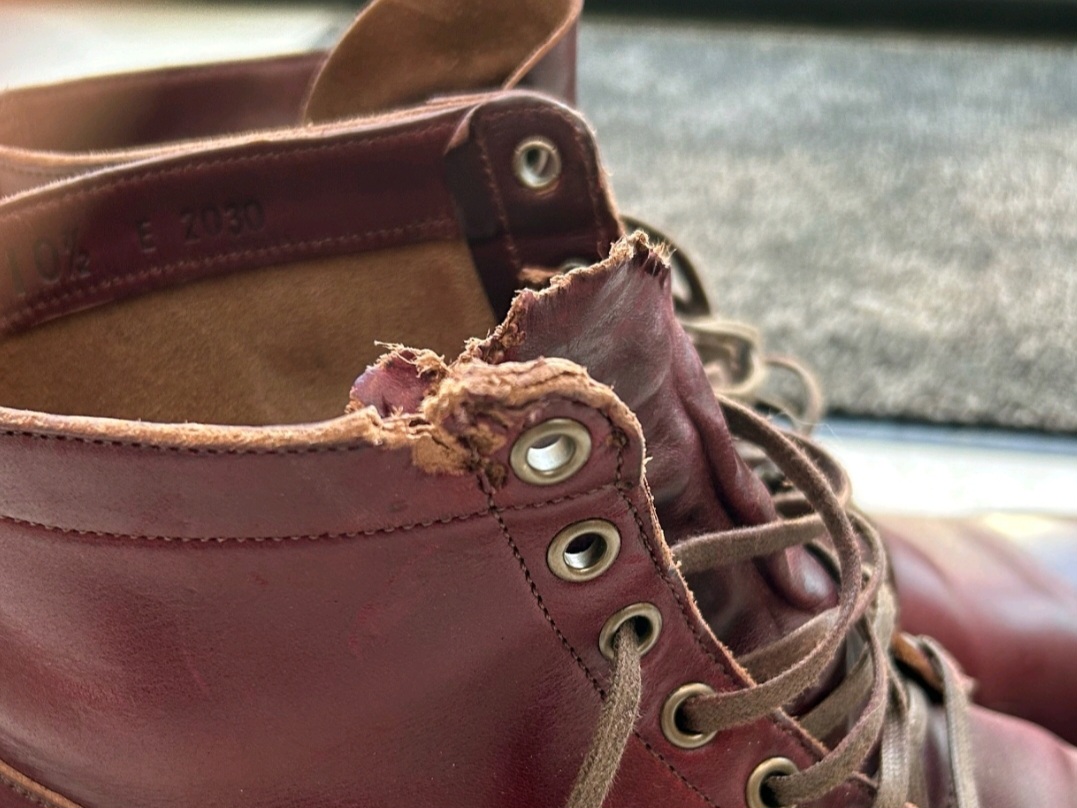 Boot Chew Blues: How to stop the dog making your boots their new chew ...